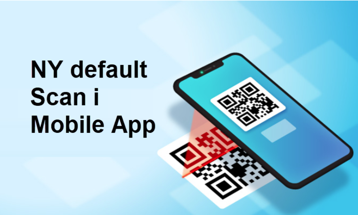 Default Scan :: CheckNReport